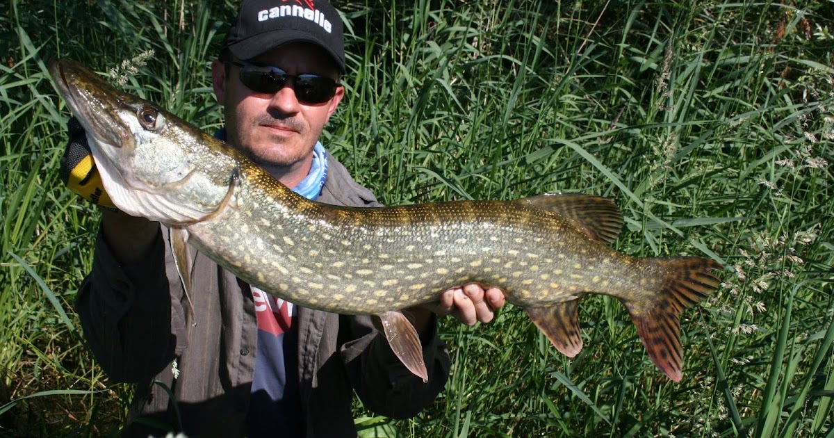 MR-WATER: Un petit pépère pour commencer l'année...