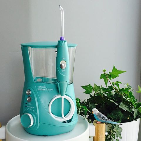 FLOSSING VERSUS WATER PICKING - WHAT'S BETTER?