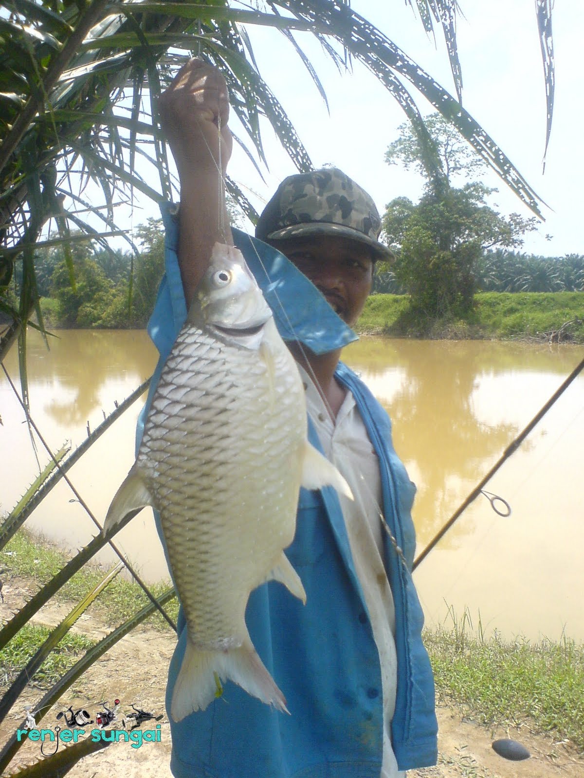 Renjer Sungai: 21 EKOR IKAN LAMPAM