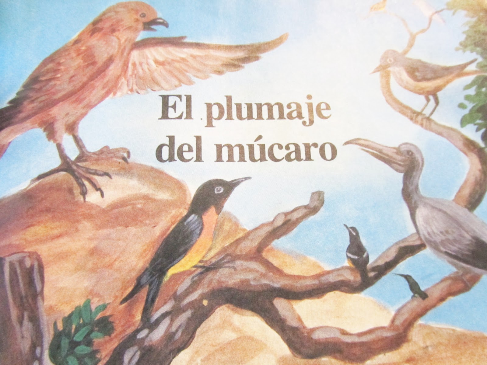 Reseña de Cuentos: El plumaje del Múcaro
