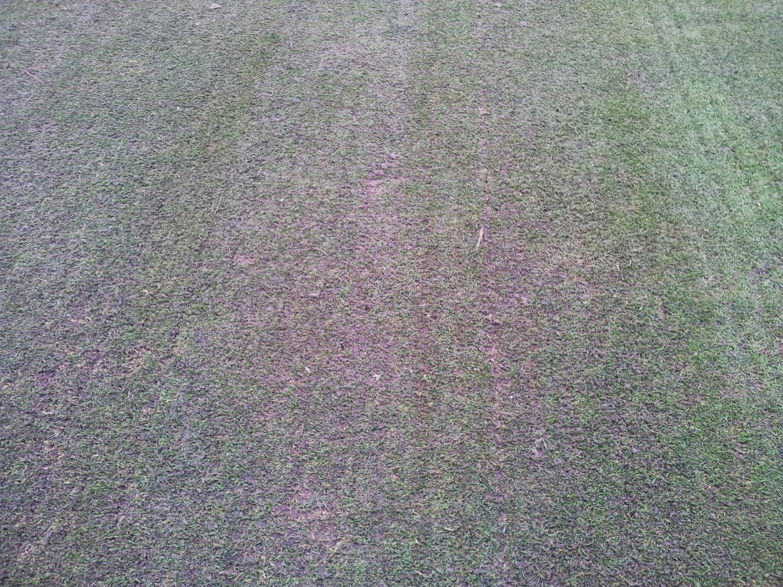 Bolton Old Links Golf Club: Scarifying Greens