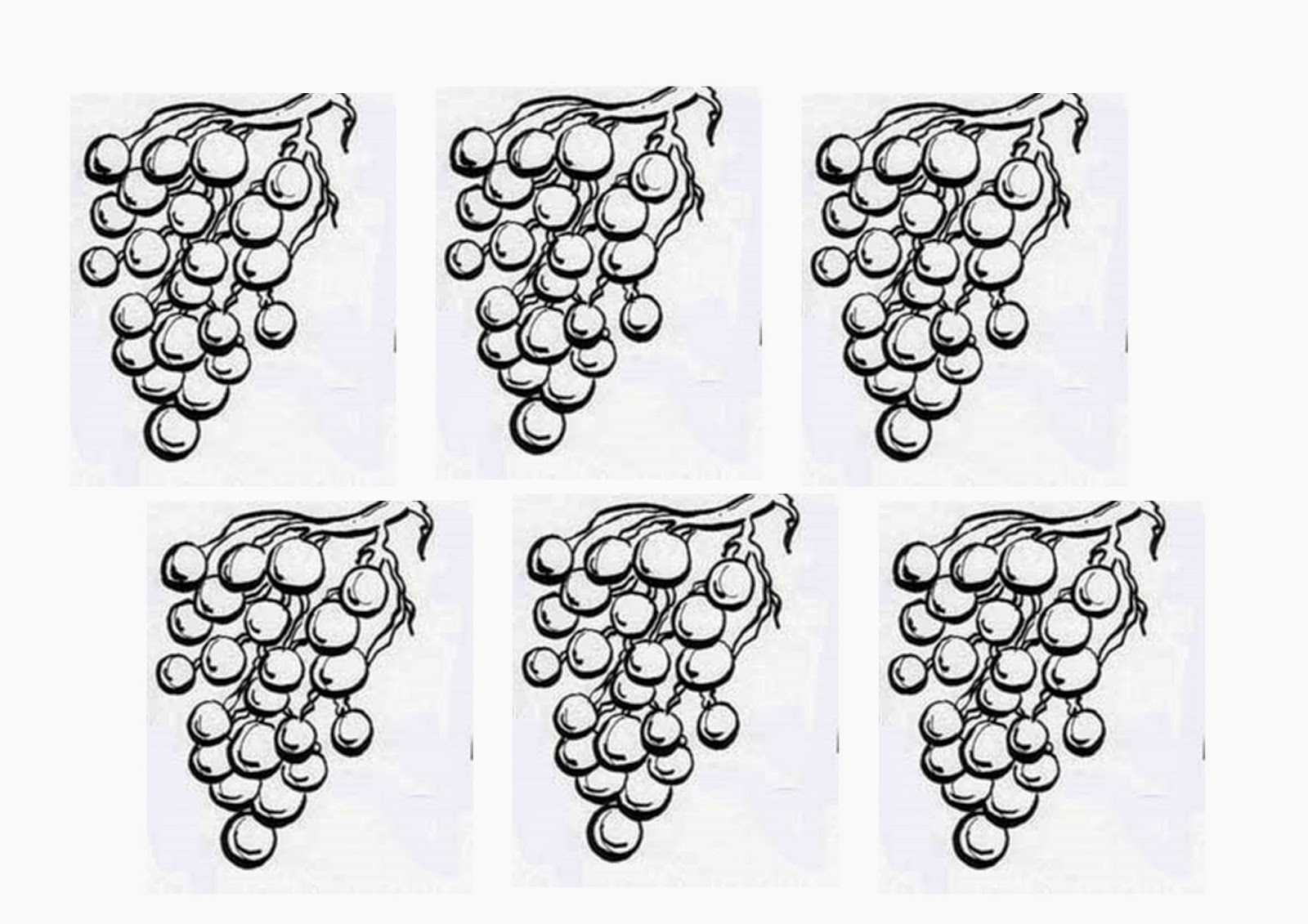 Pokok anggur yang benar -> Yohanes 15 : 1 - 8