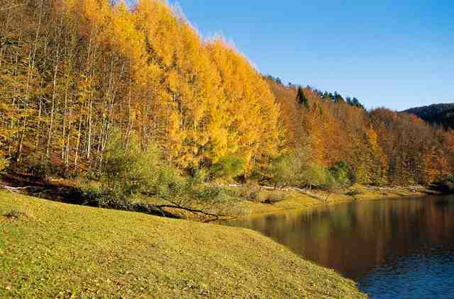 Clima oceánico(Clima templado) - APRENDIEN2 GEOGRAFIA