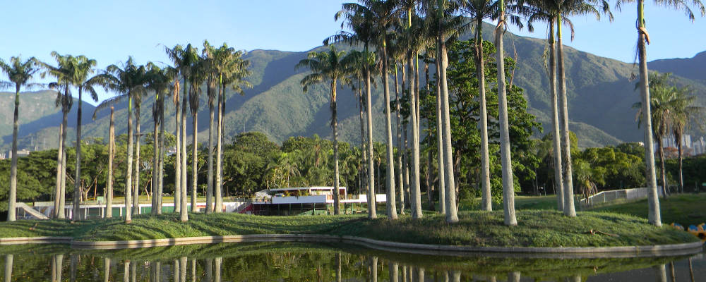 RW PAISAGISMO: PARQUE URBANO: PARQUE DEL ESTE BY ROBERTO BURLE MARX ...