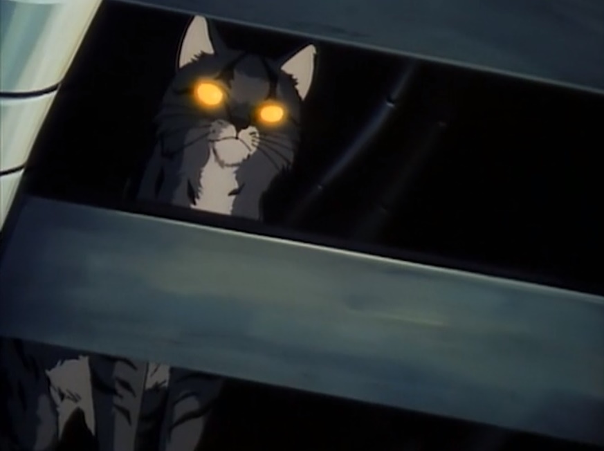 The Bloody Pit of Horror: Lily C.A.T. (1987)