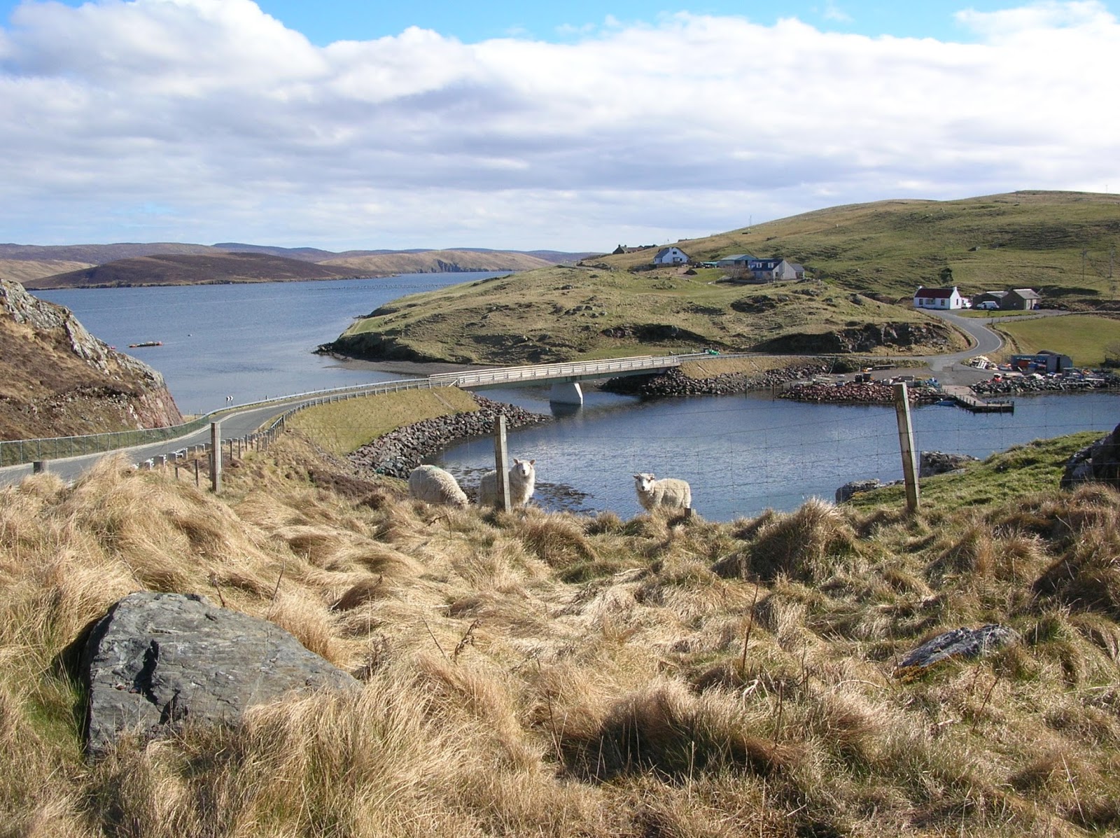 A lifetime of Islands: Island 19 - Muckle Roe, Shetland