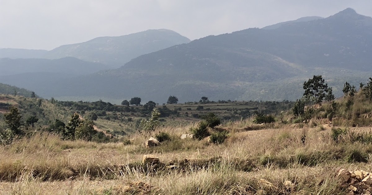 Avalabetta - Life is either a Daring Adventure or Nothing