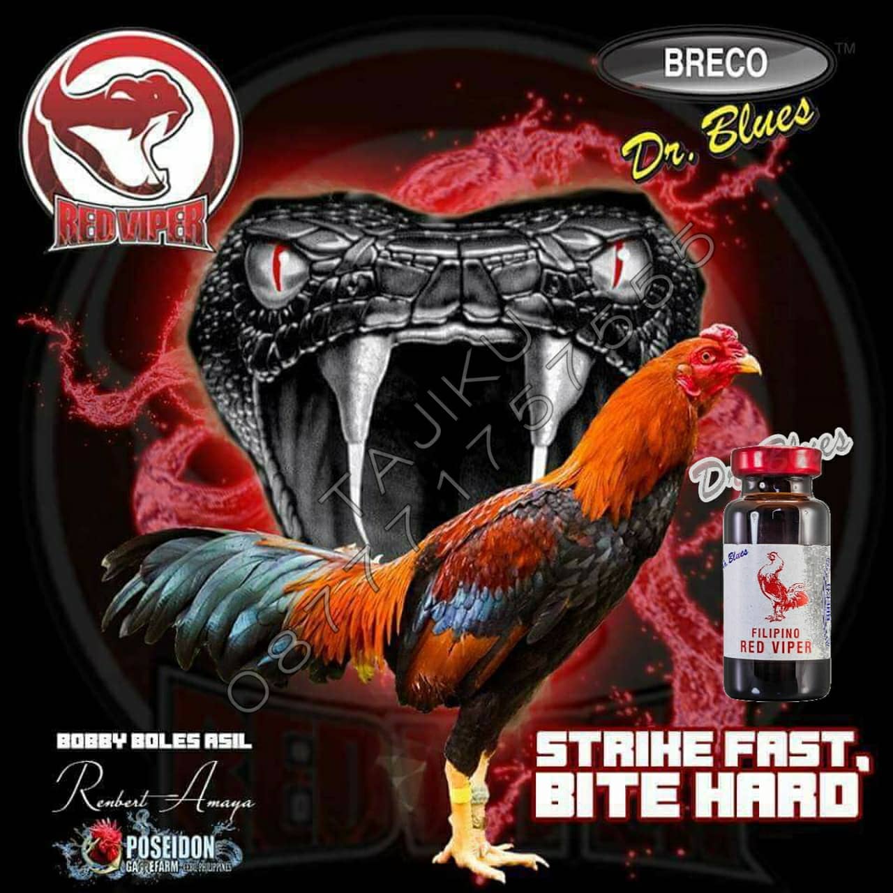 TAJI AYAM FILIPINA: RED VIPER Dr. Blues BRECO