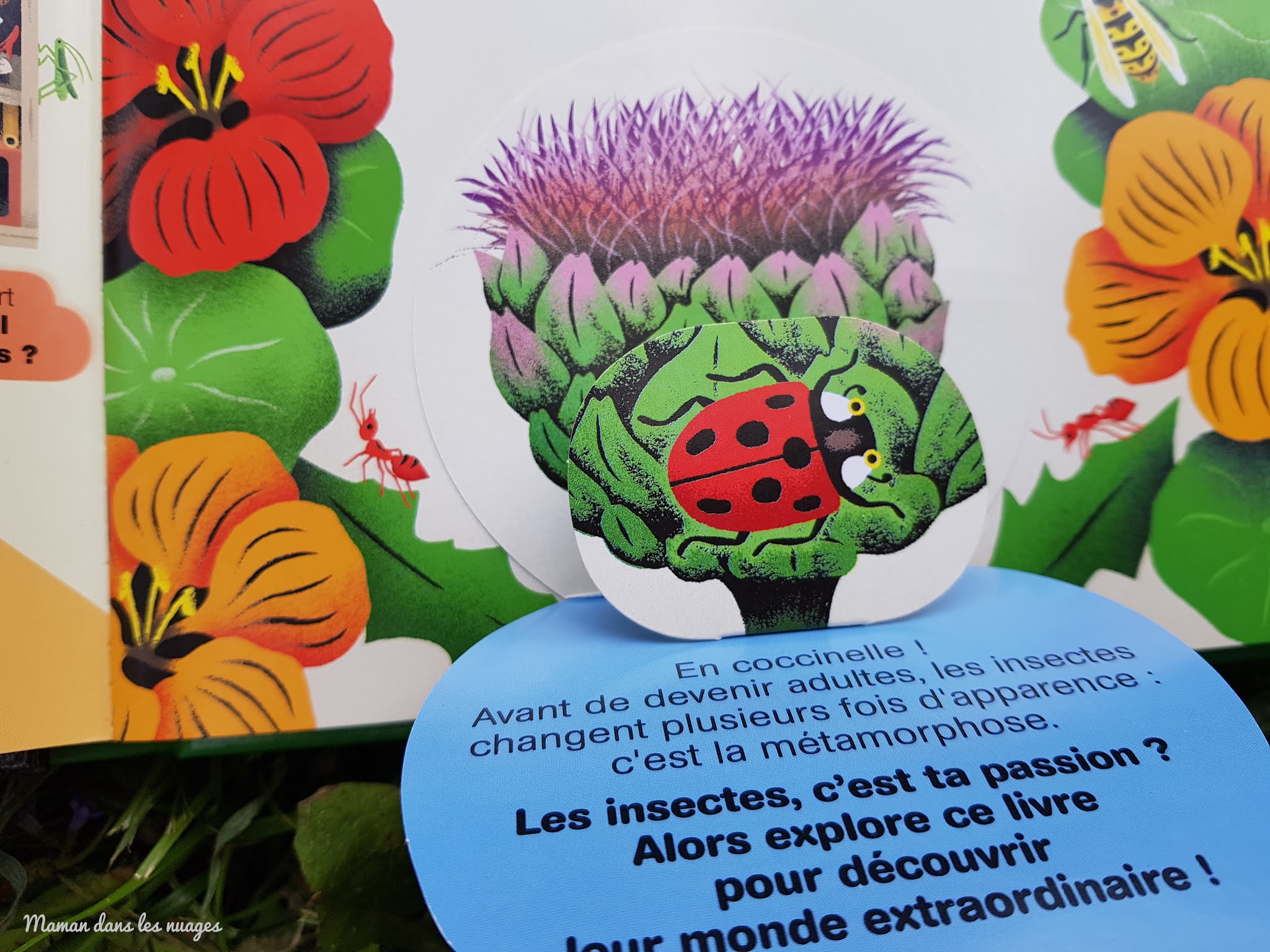 Maman dans les nuages: Petites bêtes au printemps {sélection de livres}