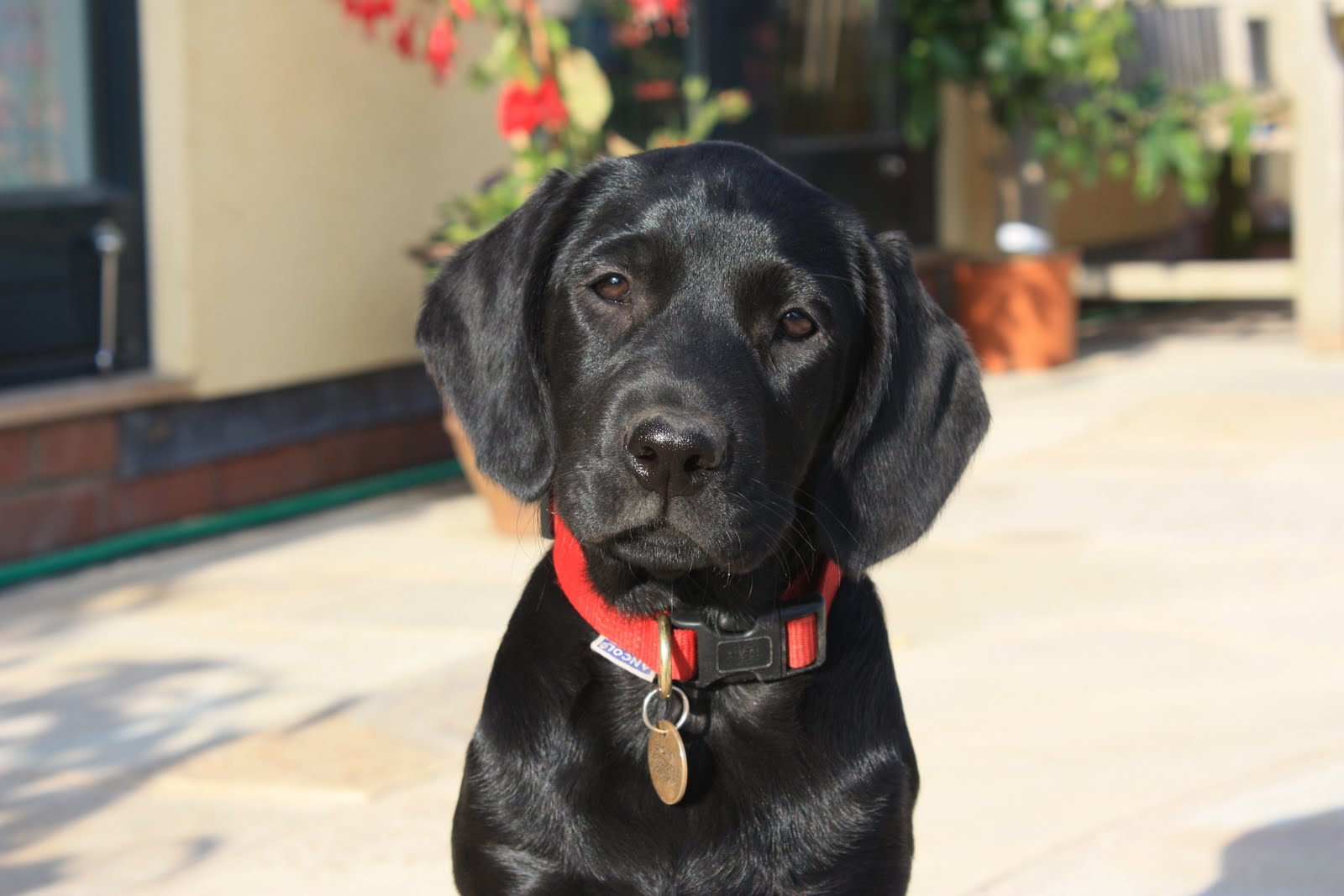 Yvonne Brown: July 2011