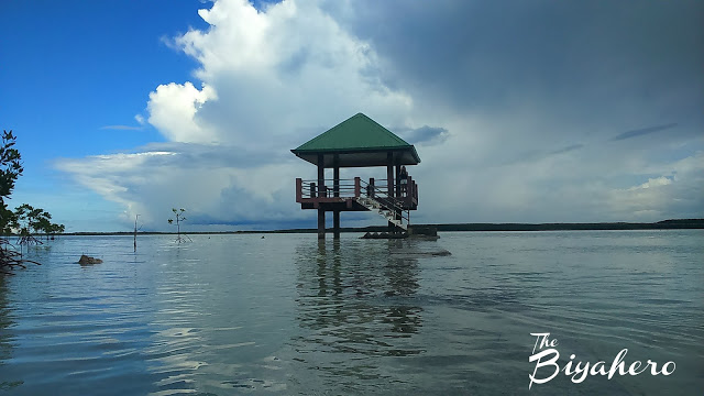 Travel Guide: Your Budget Friendly Olango Island Getaway! - The Biyahero