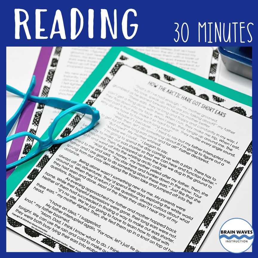 Brain Waves Instruction: Day Before Winter Break ELA Plans