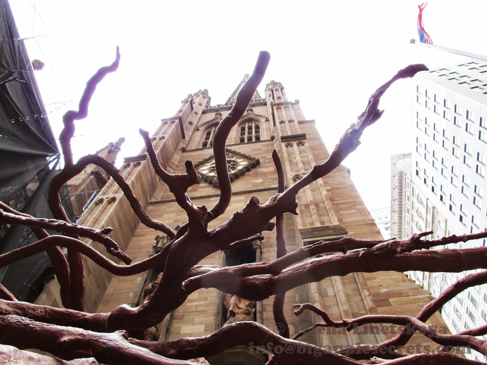 Big Apple Secrets: 9-11 and sycamore near the church