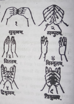 Sandhya Vandan Mantra Lyrics /संध्या वंदन करने की सही विधि मंत्र सहित