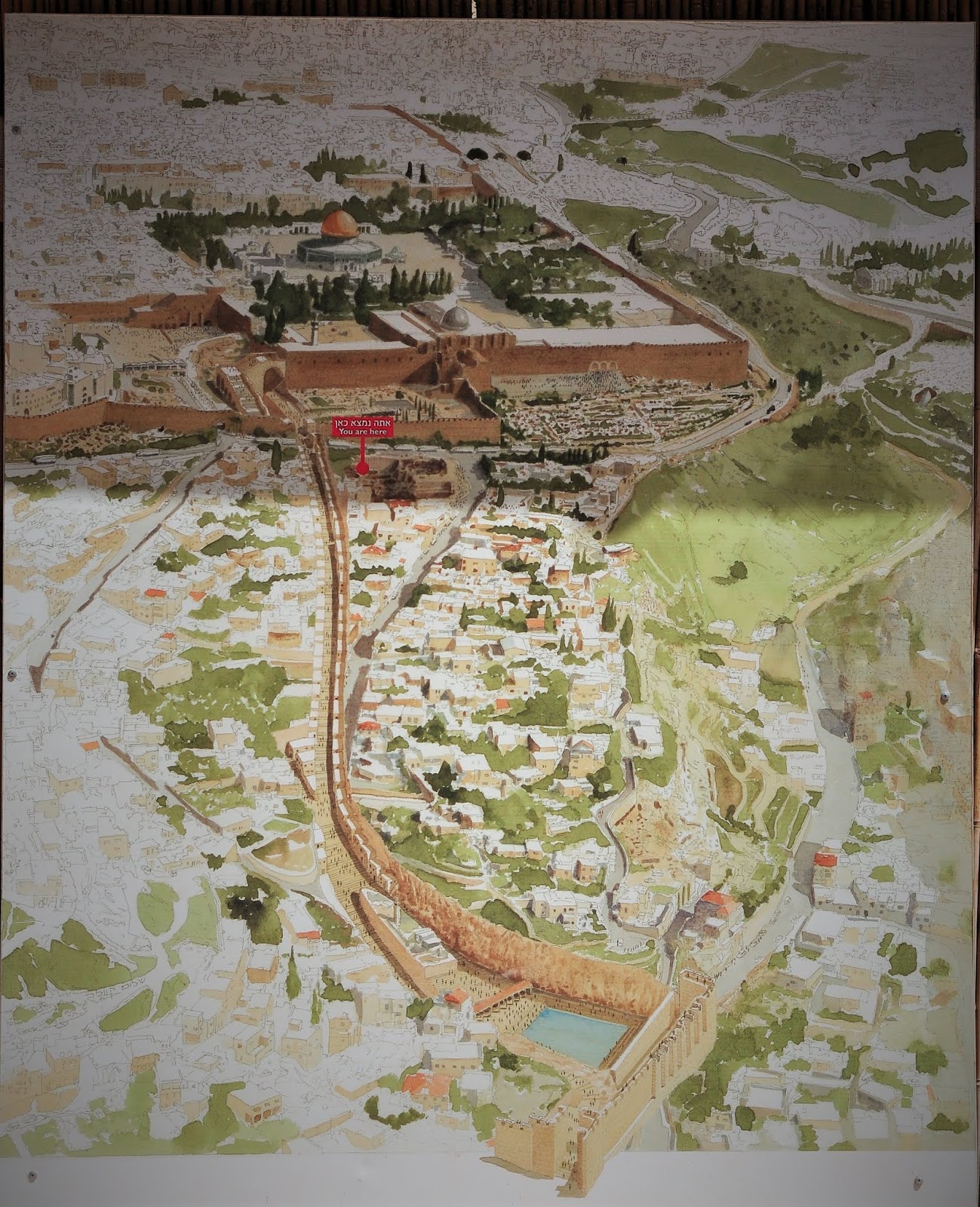 Lumen Olivarum: Jerusalem Pilgram Road to Temple Mount Officially Opens