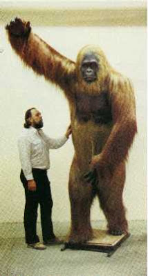 Biologic Park: El Gigantopithecus, ¿un verdadero bigfoot?