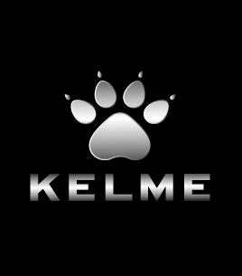 Brandball: Historia de Kelme