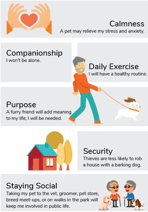 Stroke Wise: The Benefits of Pets