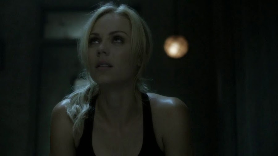 About the Author - Lisa Macklem