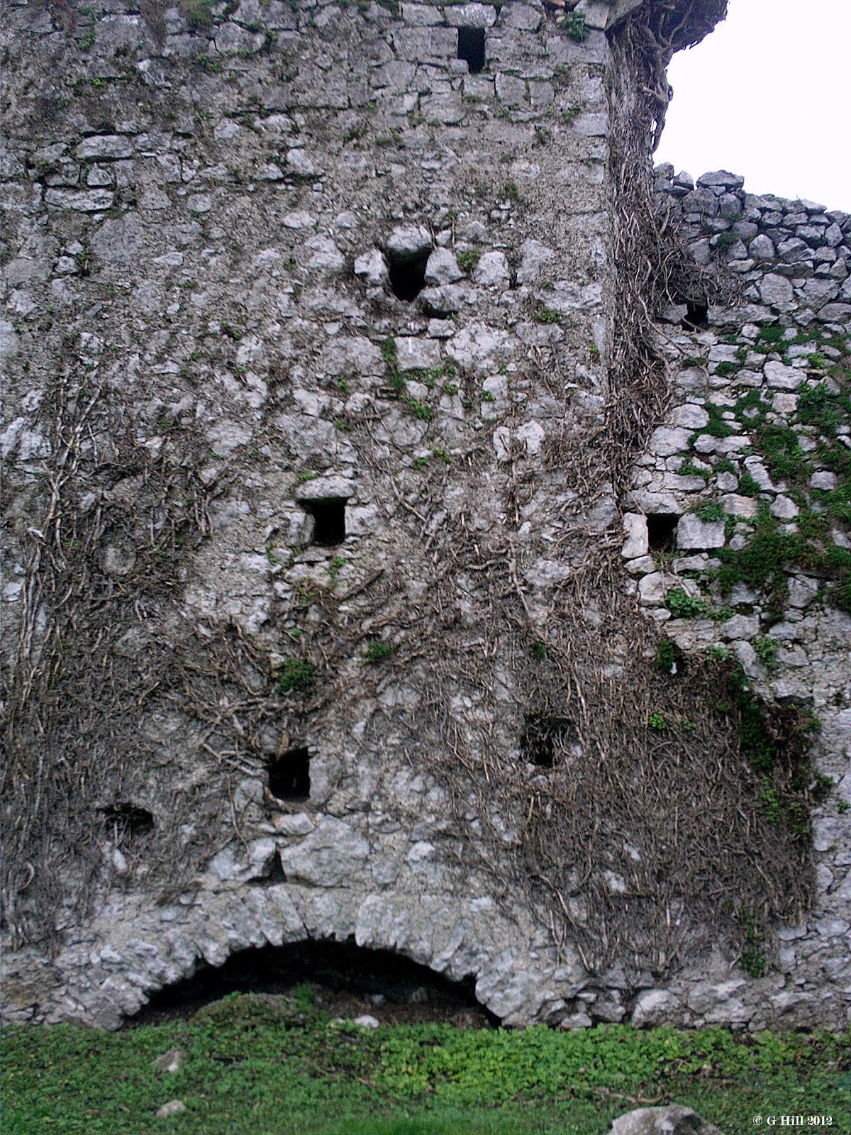Ireland In Ruins: Clane Abbey Co Kildare