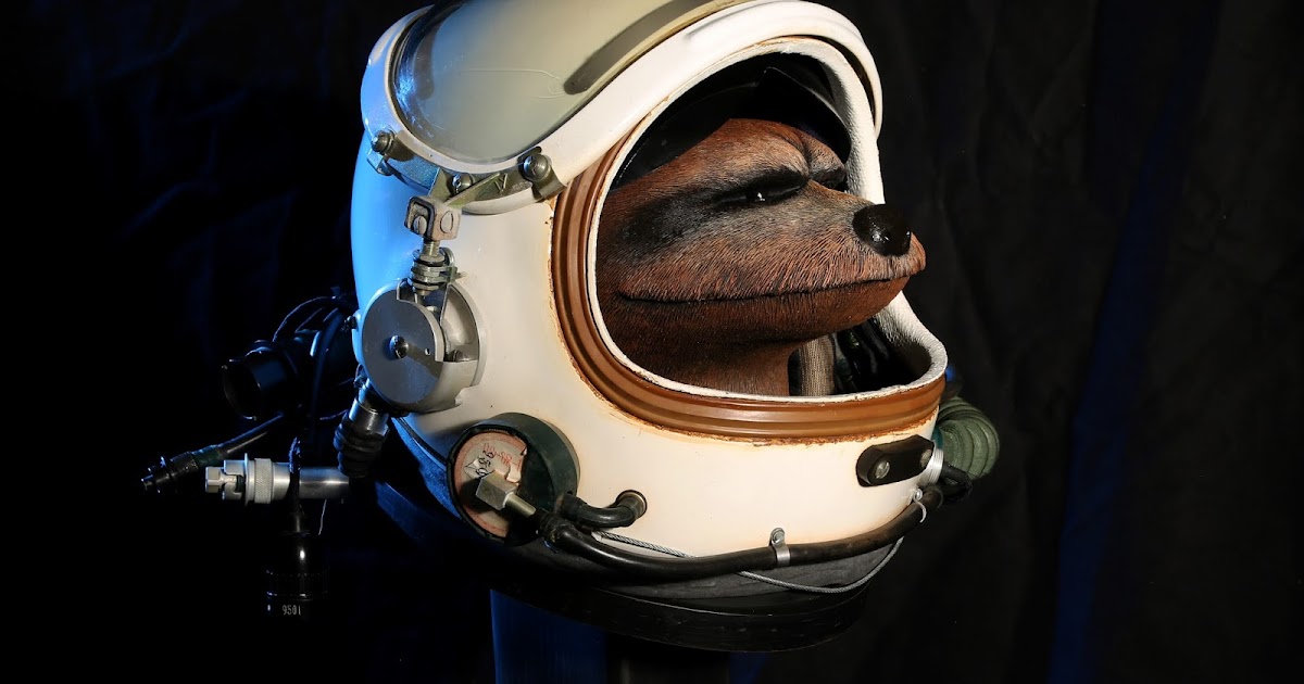 Dave Pressler Making Stuff: A TRIBUTE TO ASTRO SLOTH!