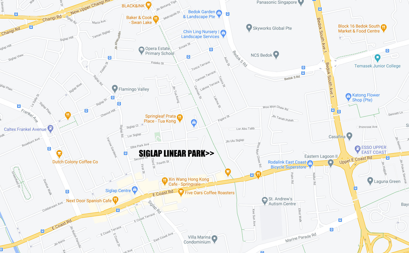 Siglap Linear Park : Runnning Route - TheWackyDuo.com - Singapore ...