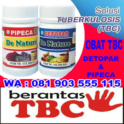 Kumpulan Tanaman Obat TBC Yang Berkualitas Paling Ampuh di apotik