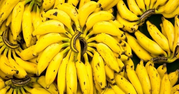 Banana (M. acuminata, M. balbisiana)