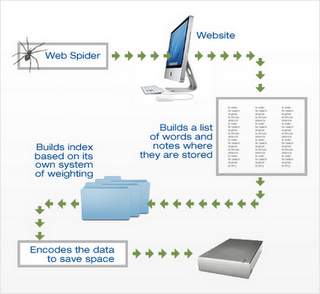 Cara Kerja Spider Dalam Search Engine - Belajar SEO Part 4 | MILIANDO BLOG