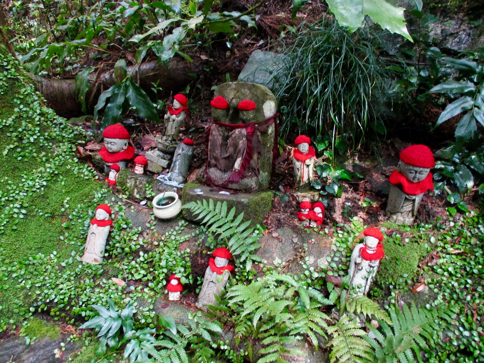 Hokkaido Kudasai: The Moss Head is Missing