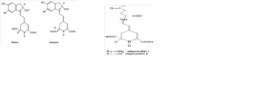 Simply Healthy Life Magazine: 02/01/2012 - 03/01/2012