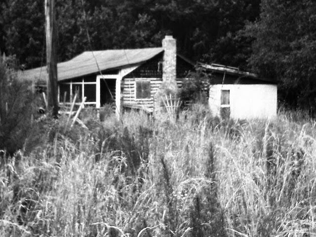 Real Life Is Horror: The death of Debbie Wolfe: