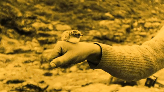 Søguskyn: Myndir úr Føroyafilminum hjá Leo Hansen (1930)