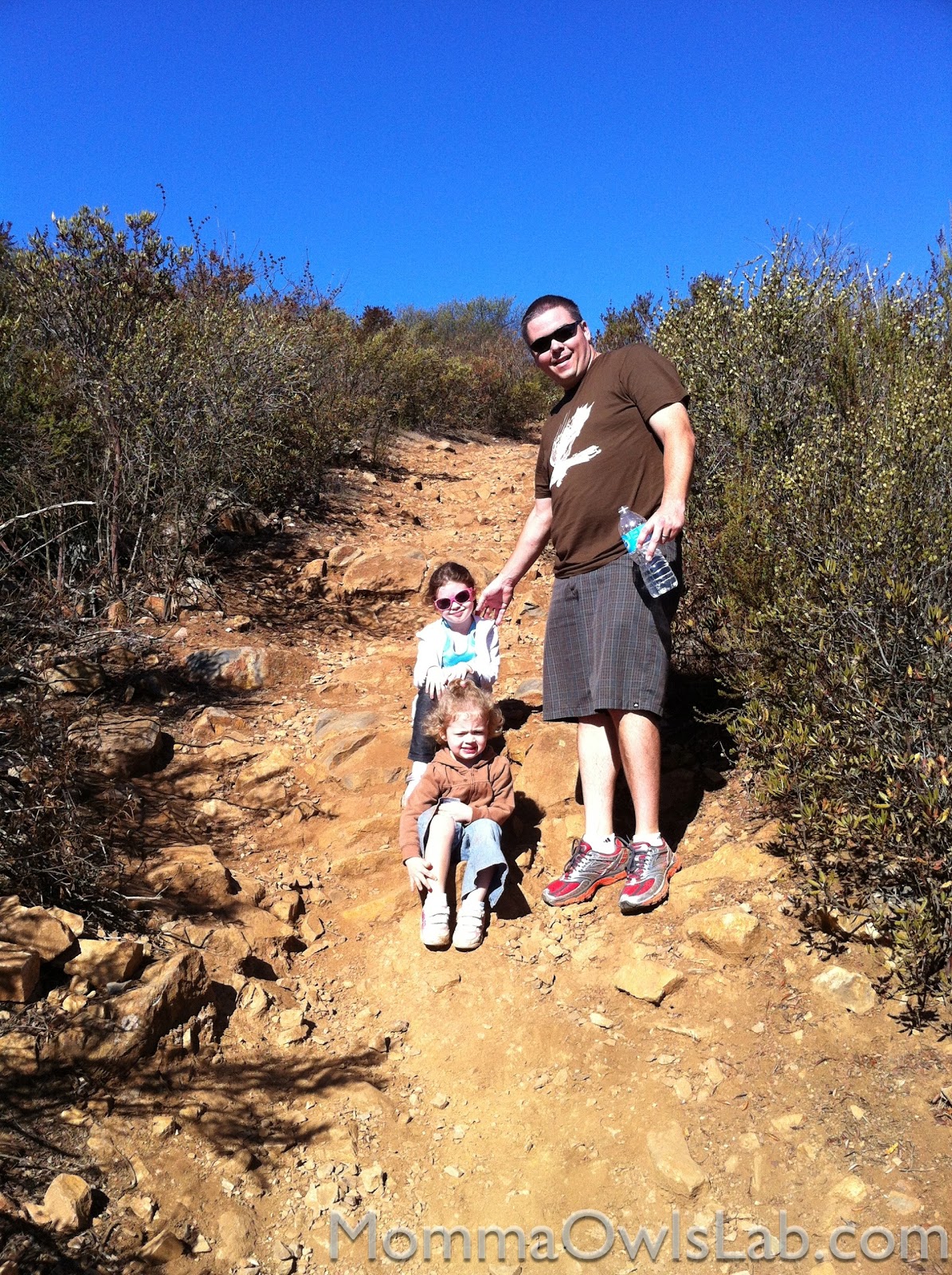 Momma Owl's Lab: Weathering and Erosion with Found Rocks