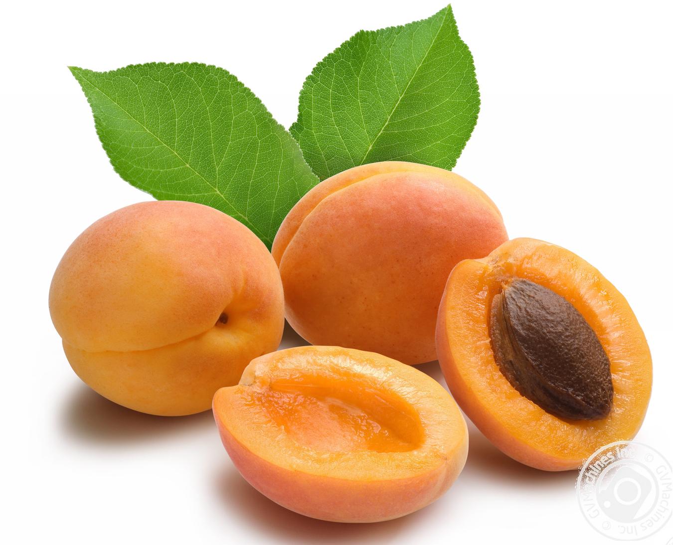 Siddha medicine: Uses of apricot fruit