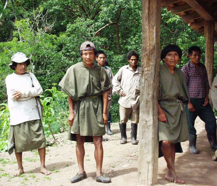 Brassavola Digbyana: agosto 2015