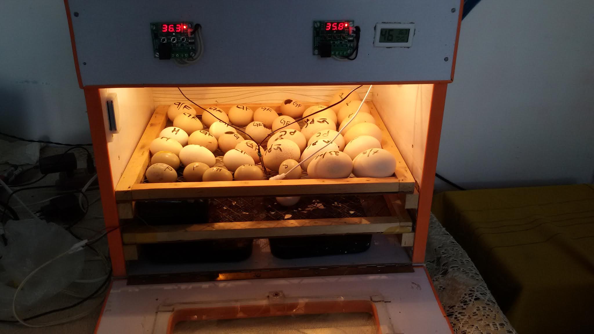 DIY-Home Made Incubator Eggs Hatcher -How to make an AC- DC incubator ...