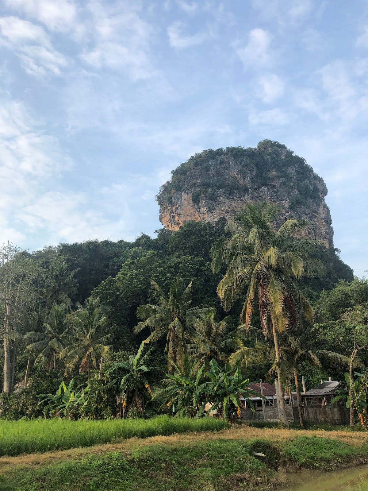 HIKING DAY at BUKIT KODIANG @ BUKIT MOK CUN , KEDAH