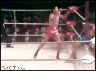 Introducing the New Gifs: Kickboxing Tiger KneeKO