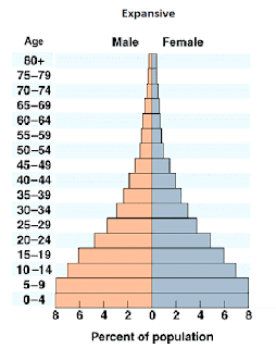The Temperate Deciduous Forest: Population Growth