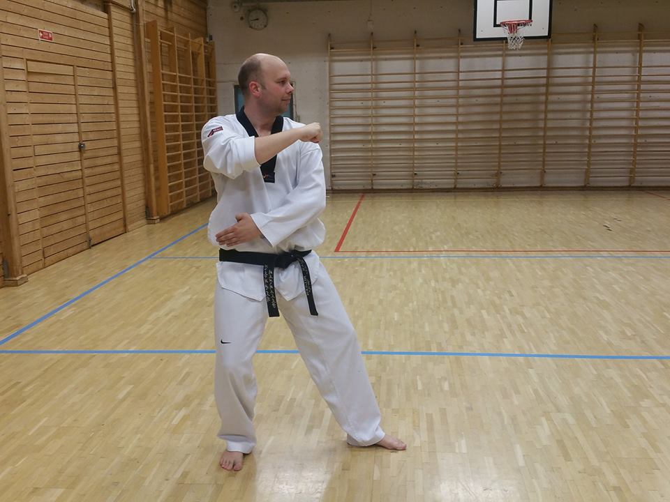 Traditional Taekwondo Ramblings: Taekwondo "Blocks"