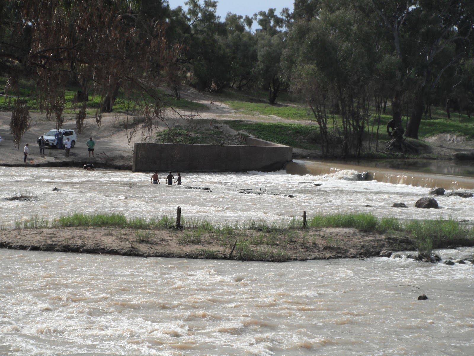 Bush Chaplain's Adventures: Darcy the Wonder Dog sees the Fish Traps at Bre