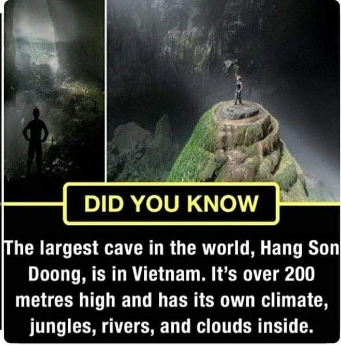 Rishsome.: Unknown Facts Guaranteed