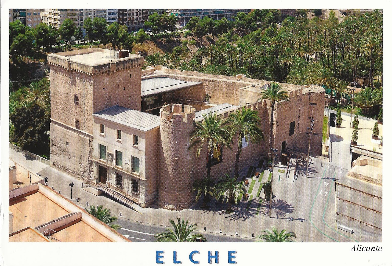 A Journey of Postcards: The Palmeral of Elche | Spain