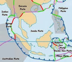 Gagasan dan Pemikiran Dr. H.M. Nasim Fauzi: Buku Asal-usul Manusia 06