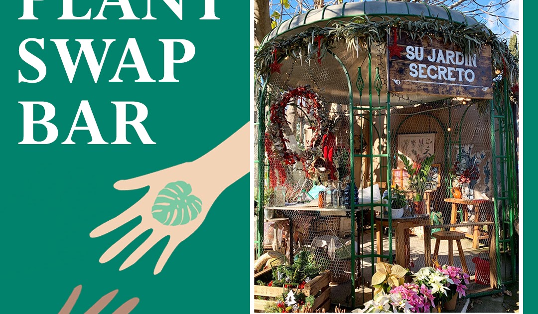 Plant Swap Bar 1ra Edición Primavera 2021
