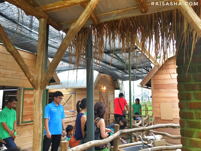 Visiting Rooftop Zoo at Kidzoo PVJ - R A I S A S H A