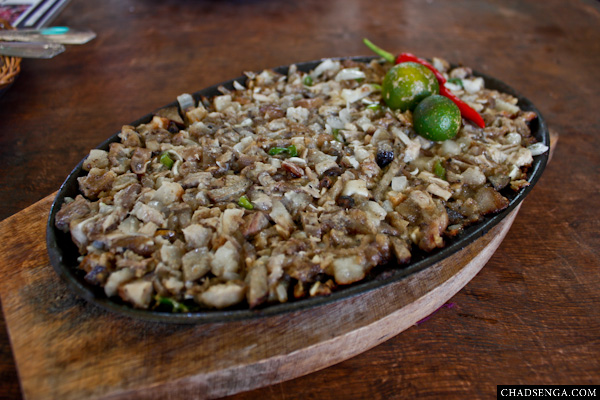 Surfing in Baler: The Itinerary | HungryChad