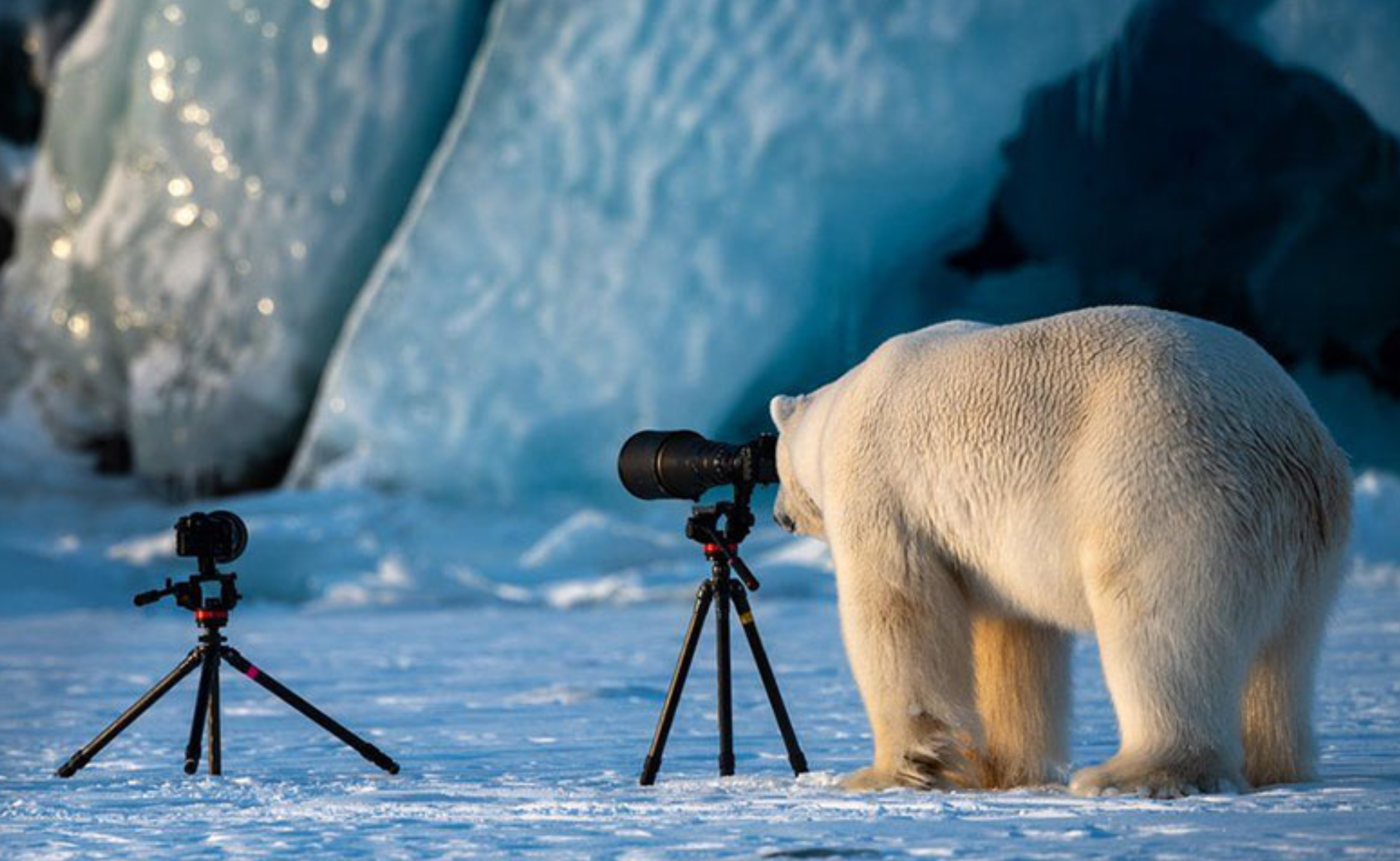 Medway Students: Photo Caption Competition - week 10