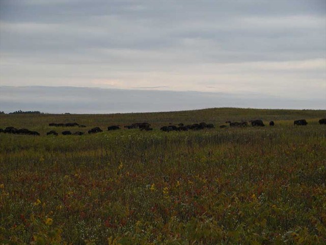 It's Not Your Mother's Audubon...: Underhill Preserve and the Value of ...